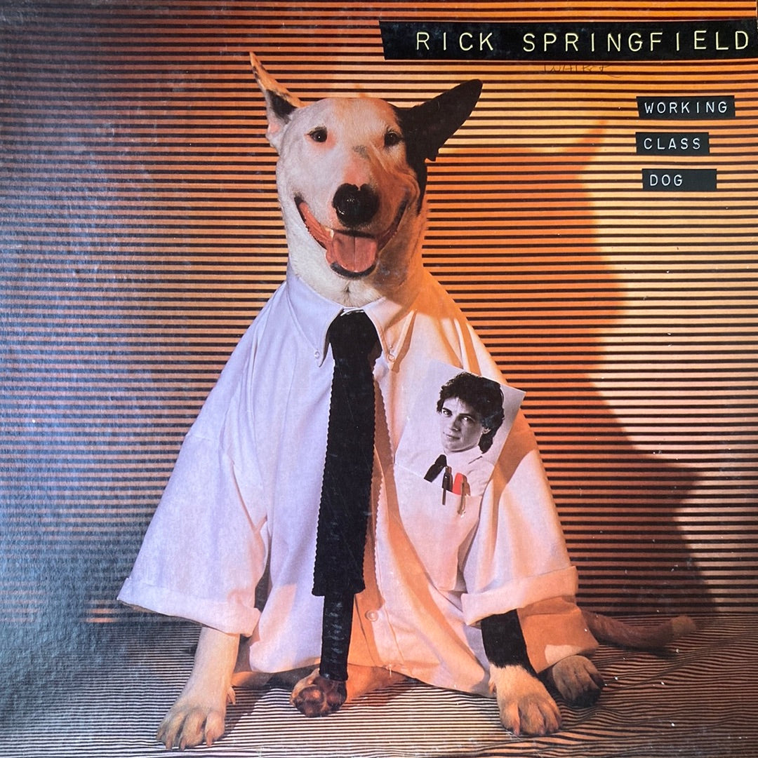 Rick Springfield - Working Class Dog (LP) – ATBFlorence
